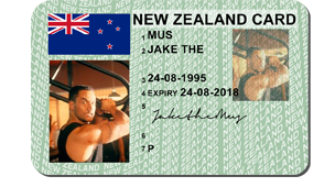 Fakies Australia - Buy a NSW Fake ID for just $60 + free shipping