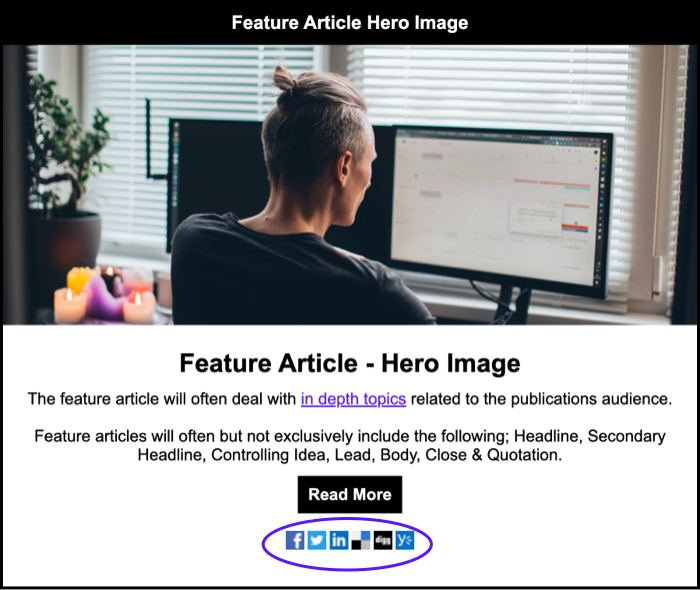 Solutions Studio Newsletter Online Consultation