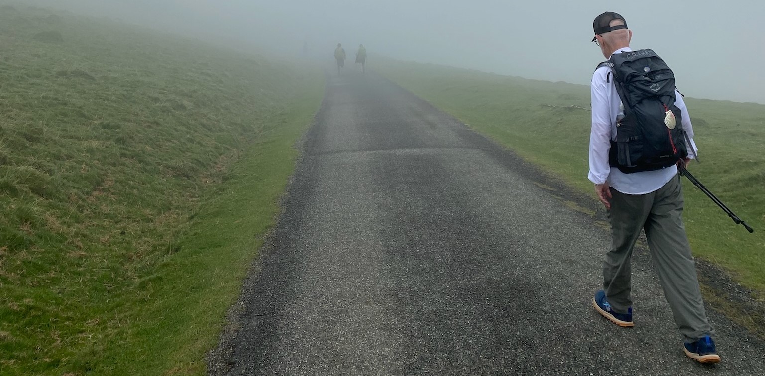 Walk the Last Mile for MLF's 25th Anniversary