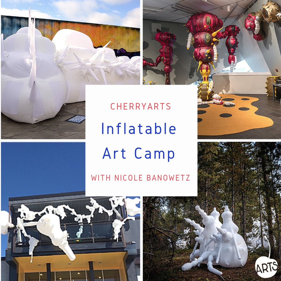 CherryArts Inflatable Art Camp Scholarship Application