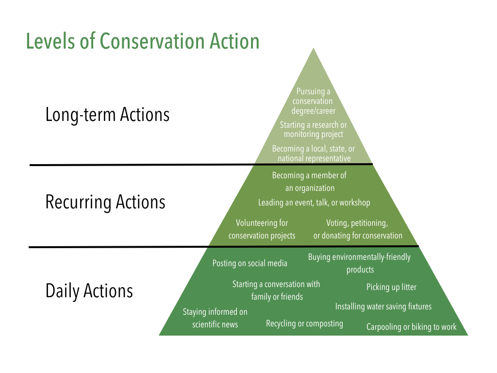 Timber Tracking: Eastern White Oak Volunteer Experience Survey