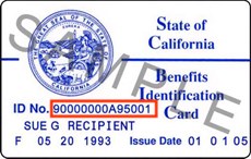 Collecting Insurance Cards