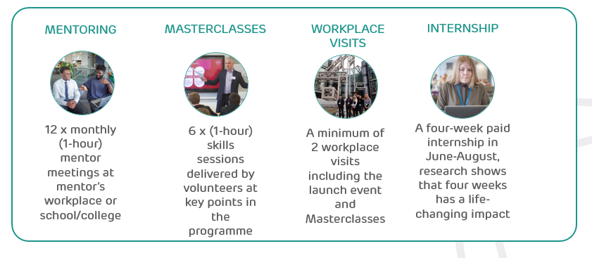 A visual breakdown of our programme