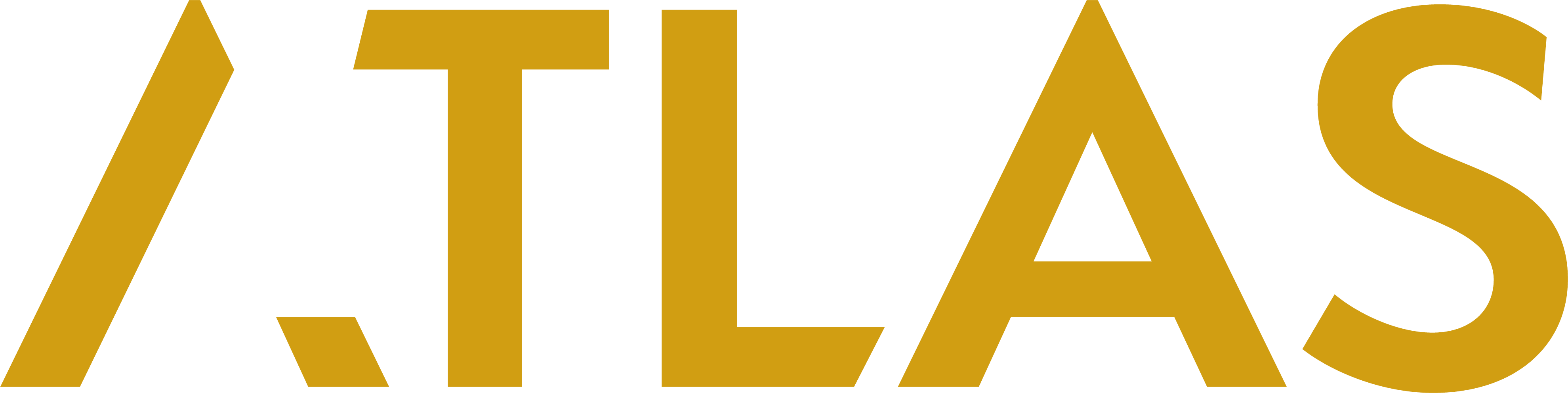 2024 Fellows Intake & Placement Survey