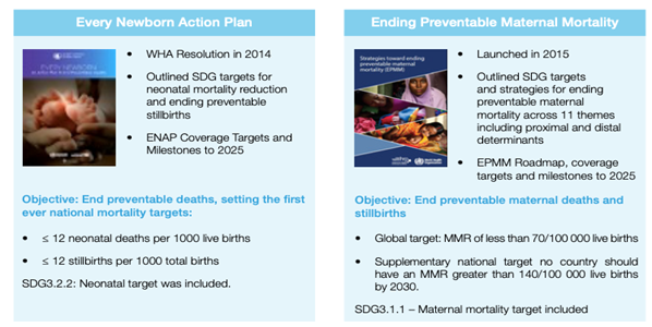 Every Newborn Action Plan (ENAP) and Ending Preventable Maternal ...